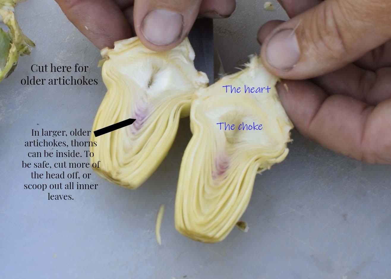 Grilling Artichokes From the Garden