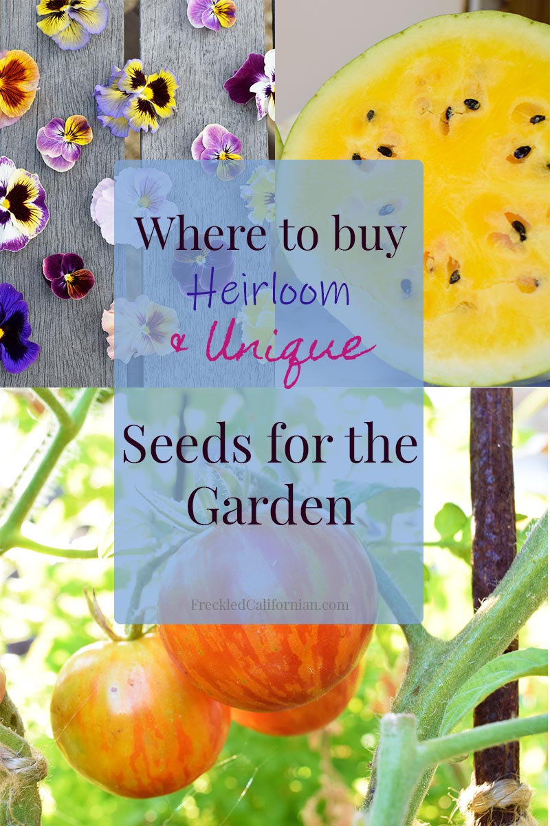 Where to buy seeds