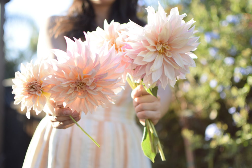Tips for Growing Magnificent Dahlias | Freckled Californian ~ A ...