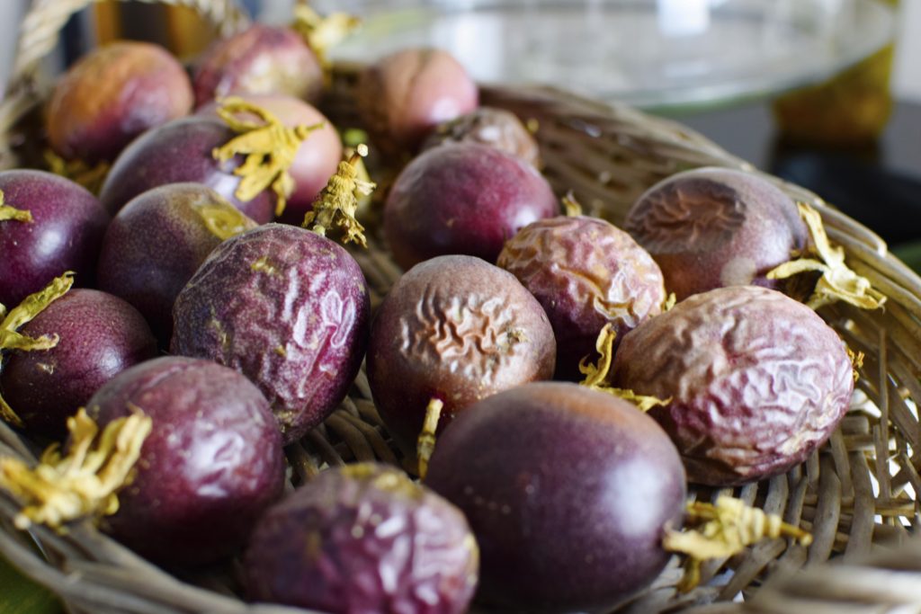 How to Eat Passion Fruit: Processing, Juicing, Storing & Using Fresh ...