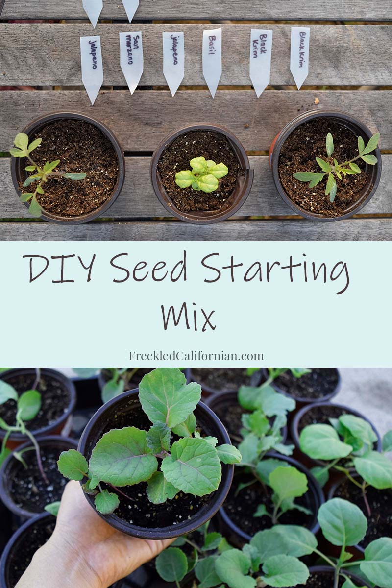 A DIY Seed Starting Soil Mix Recipe