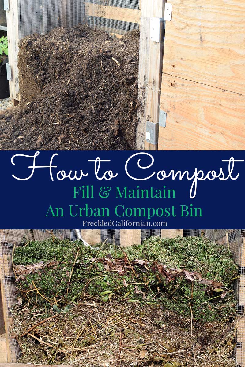 How to Compost: Filling & Maintaining a Compost Bin ~ Freckled ...