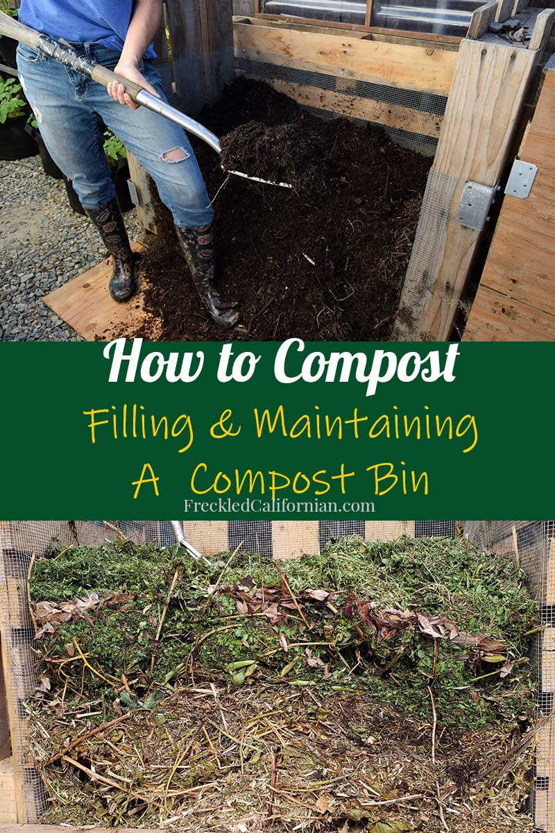 How to Compost: Filling & Maintaining a Compost Bin ~ Freckled ...