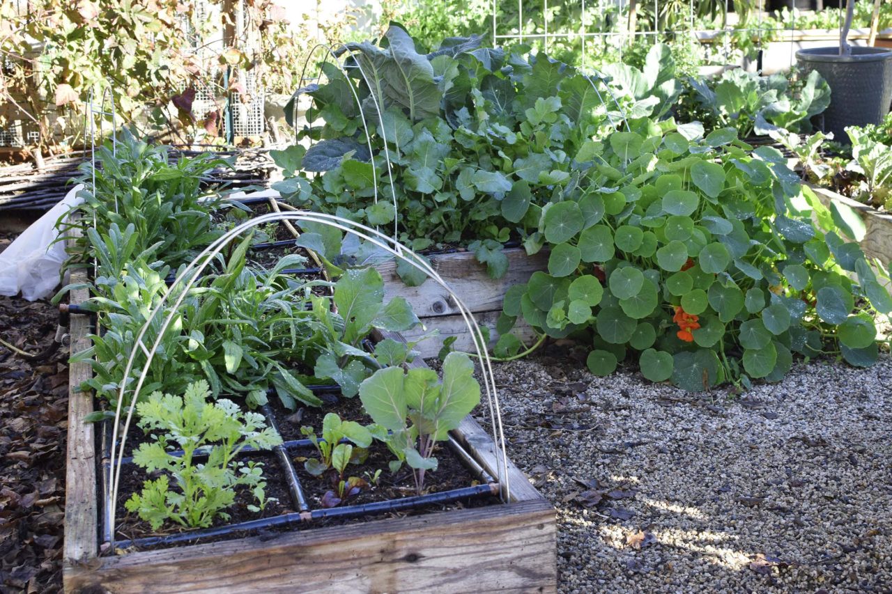 DIY Fabric Garden Covers