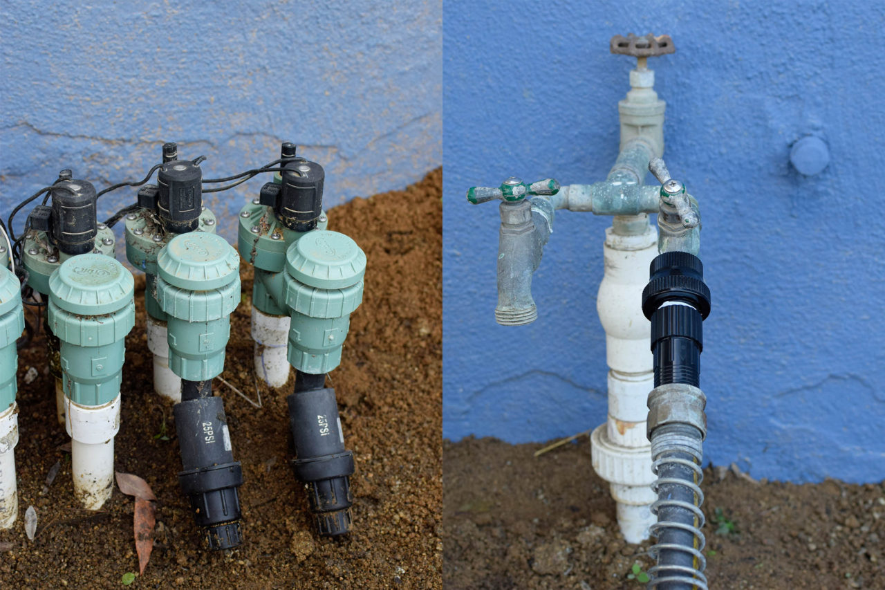 Watering & Irrigation Basics ~ Insights From our Garden ~ Freckled ...