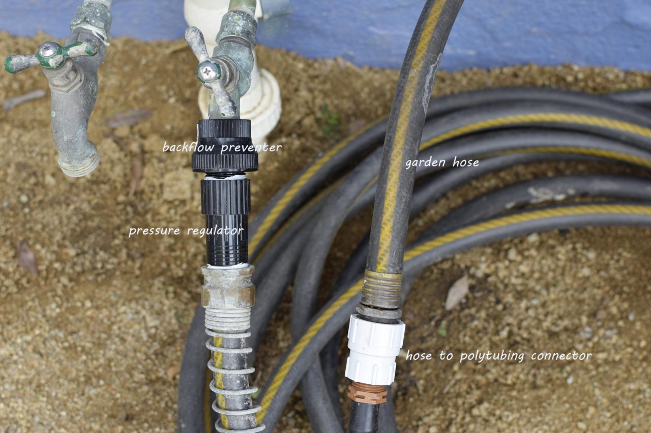 Watering & Irrigation Basics ~ Insights From our Garden ~ Freckled ...