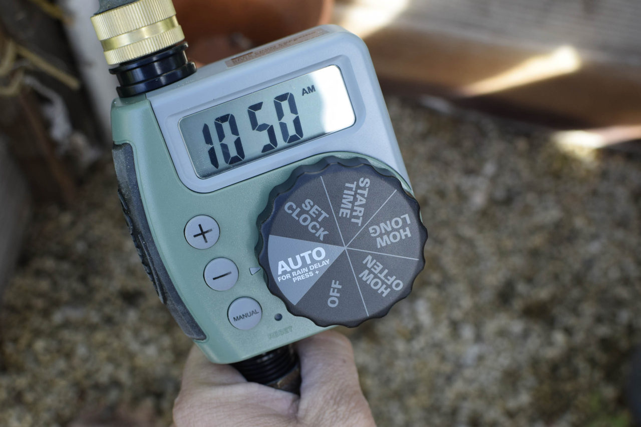 Watering & Irrigation Basics ~ Insights From our Garden ~ Freckled ...