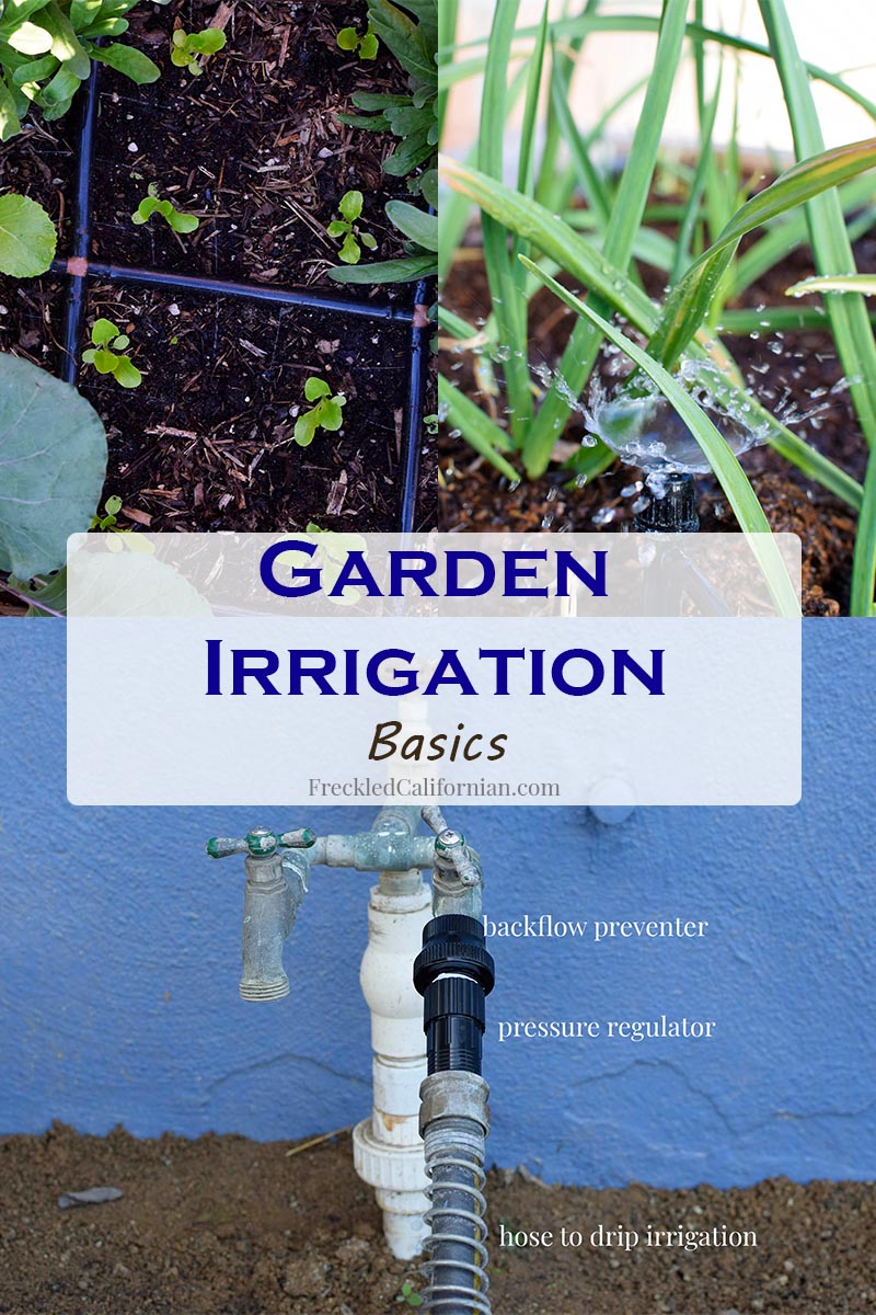 Watering & Irrigation Basics ~ Insights From our Garden ~ Freckled ...