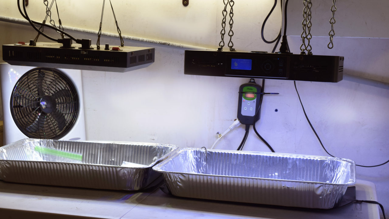 My Garage Indoor Seed Starting Setup~ 2022