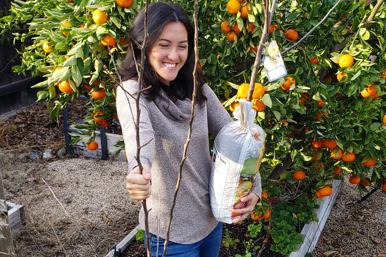 No-Stress Bare Root Planting Guide