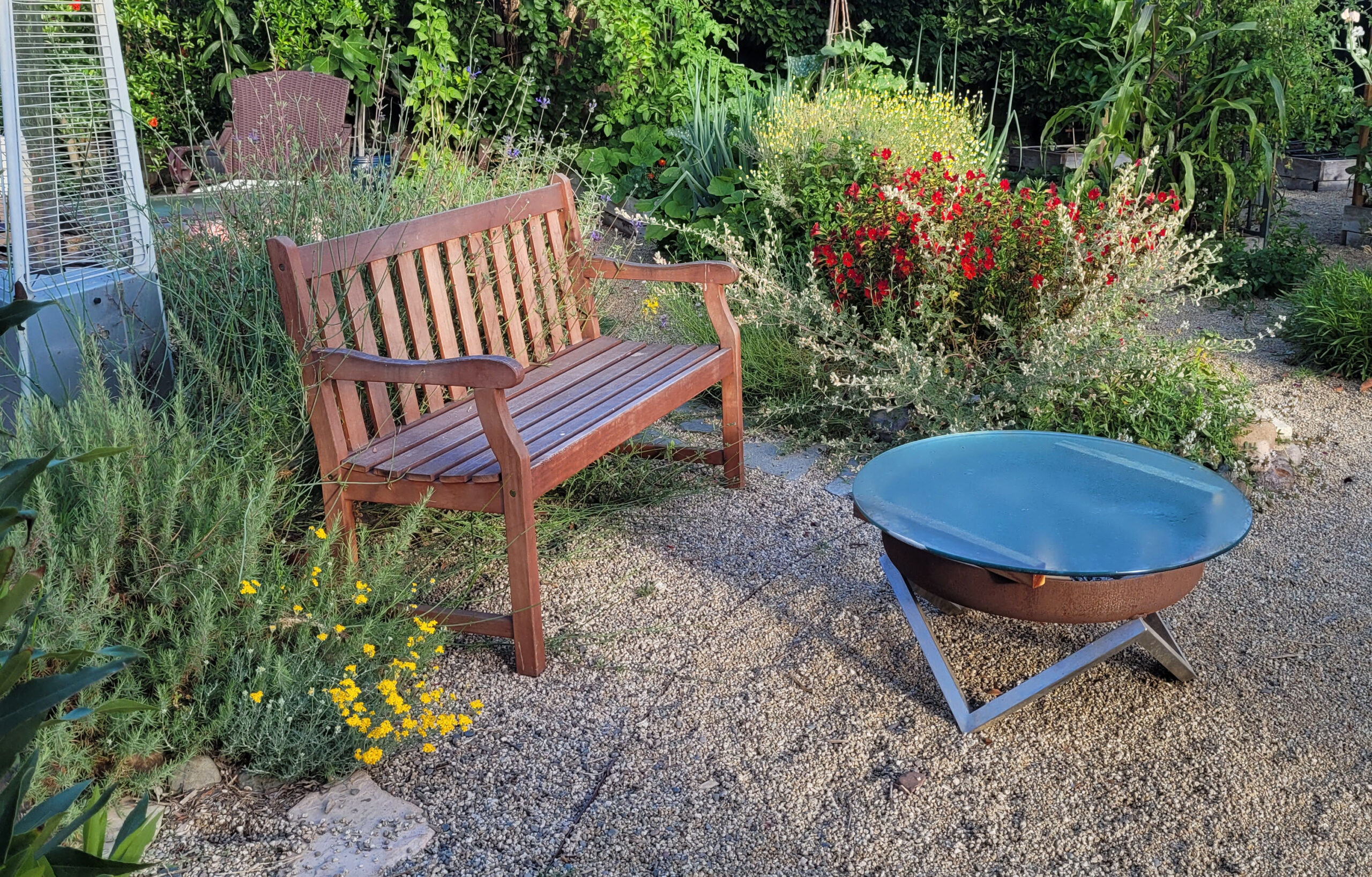 A Native Garden Designed for Pollinators