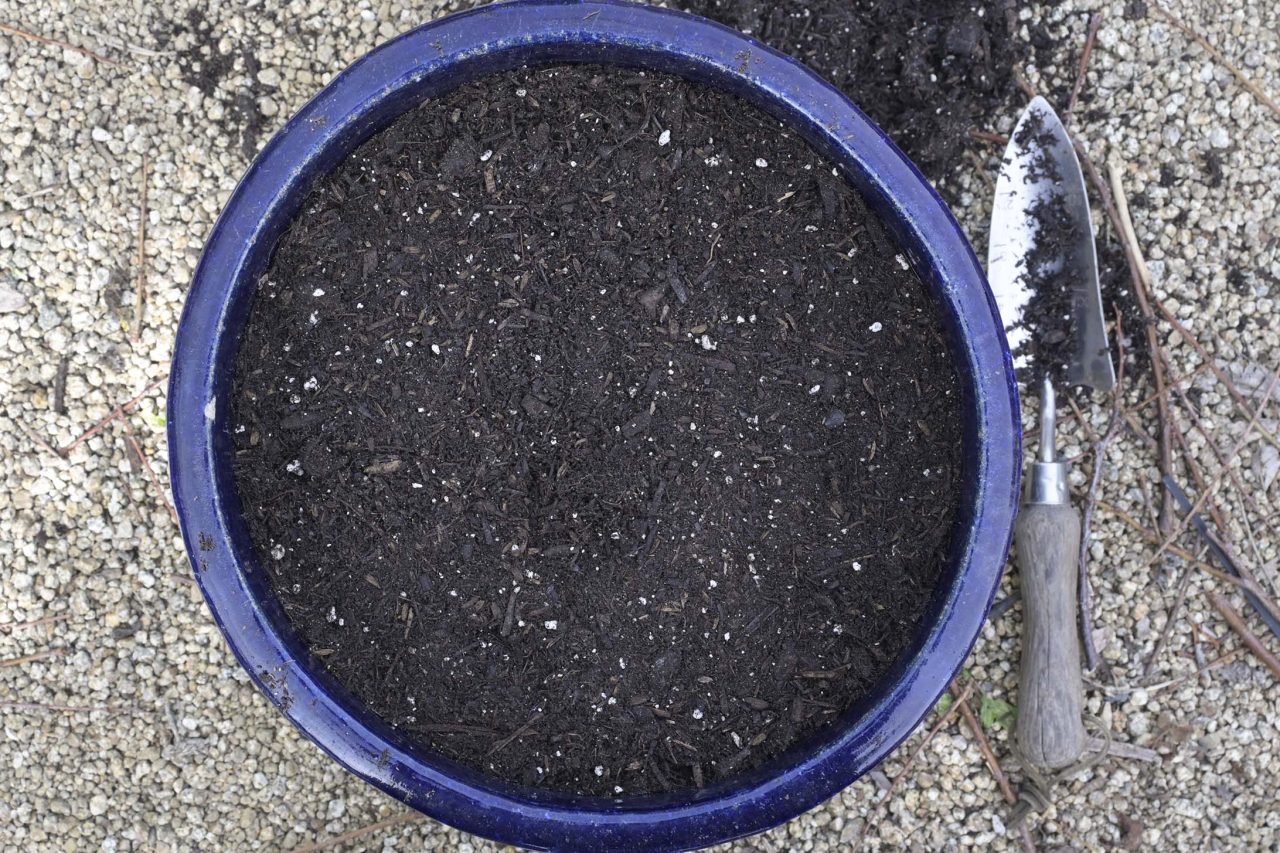 How to Reuse or Amend Old Potting Soil