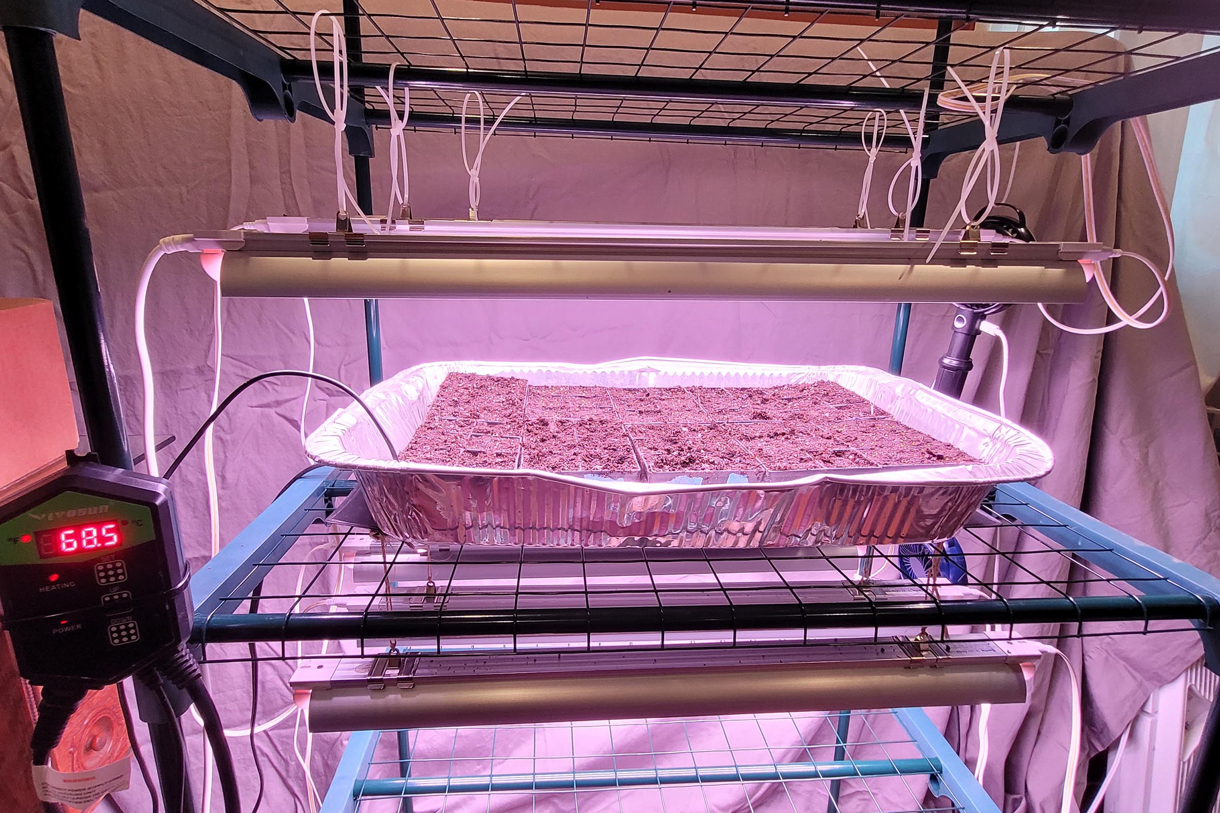 Using an Indoor Seed Starting Setup