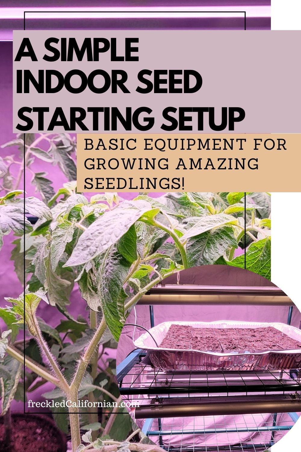 Using an Indoor Seed Starting Setup
