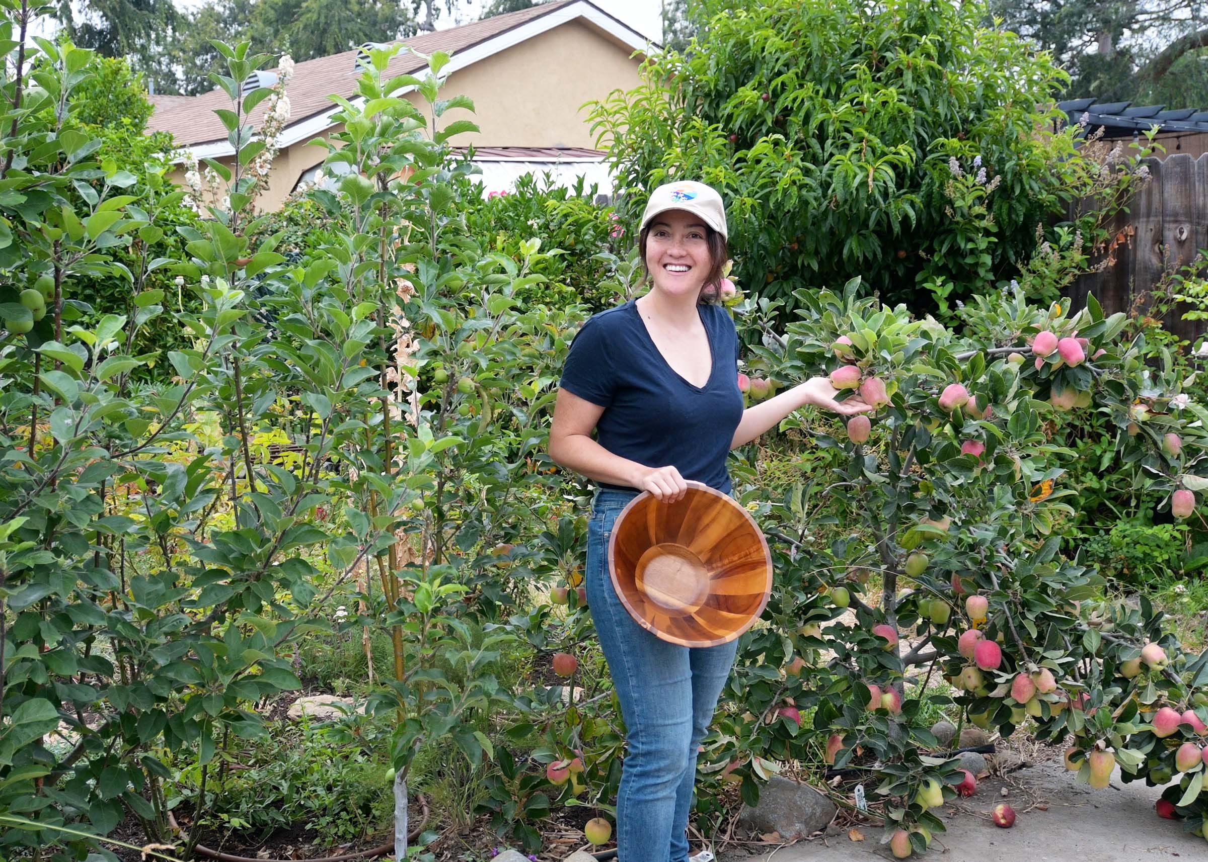 Caring for Newly Planted Fruit Trees