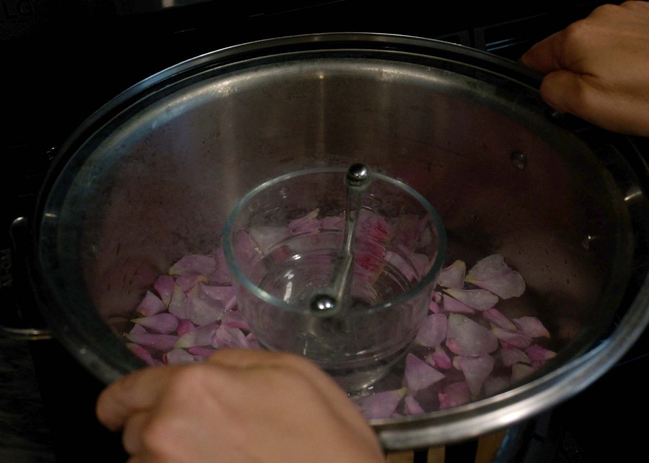 The Best Way to Make Rosewater (No Fancy Equipment)